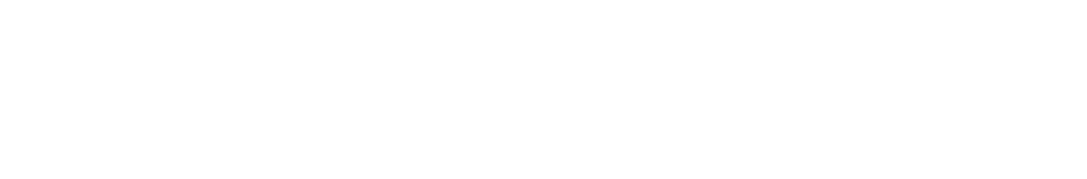 Capabilities | Technico